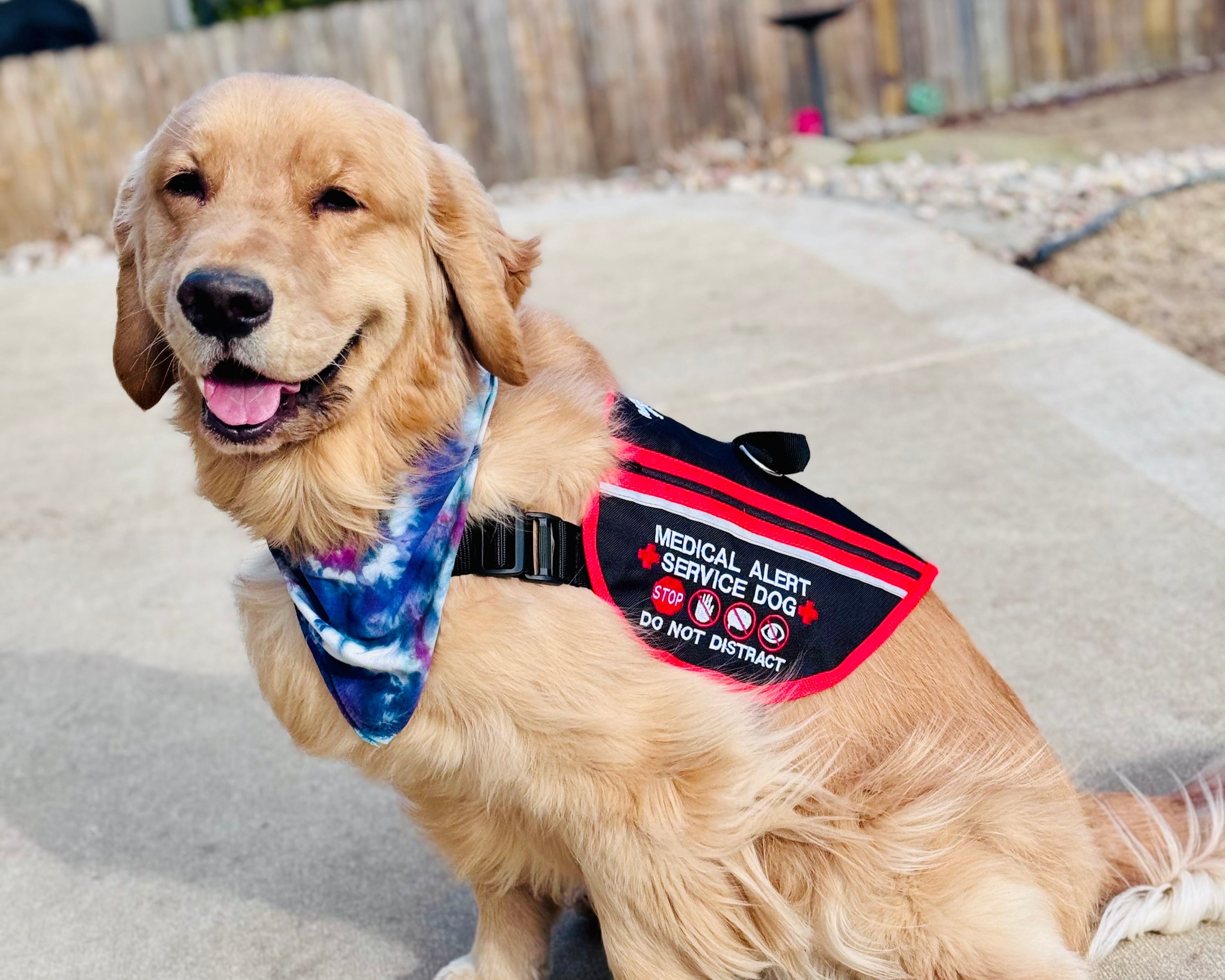 Custom Dog Gear: Vests, Leashes, Custom Embroidery and More – River Dog ...